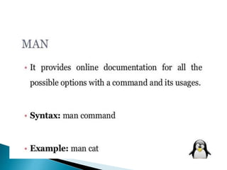 Basic Commands.ppt