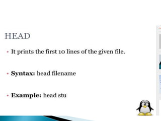 Basic Commands.ppt