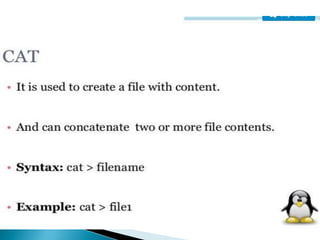 Basic Commands.ppt