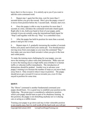 Basic commands ebook | PDF