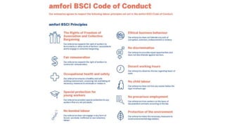 Basic Compliance - Main.pptx
