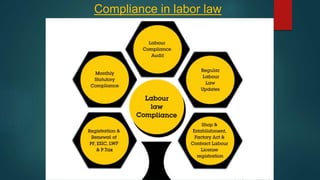 Basic Compliance - Main.pptx