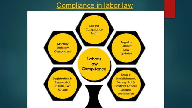 Basic Compliance - Main.pptx | Financial Regulation | Economy