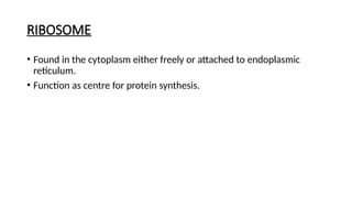 BASIC COMPONENTS OF CELL.pptxincluding cell organelles and their ...