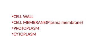 BASIC COMPONENTS OF CELL.pptxincluding cell organelles and their ...