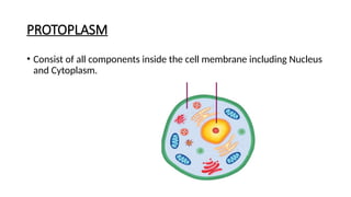 BASIC COMPONENTS OF CELL.pptxincluding cell organelles and their ...