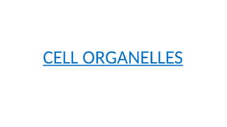 BASIC COMPONENTS OF CELL.pptxincluding cell organelles and their ...