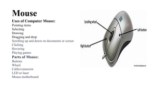 Basic Components of Computer(Hardware and Software).pptx