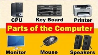 Basic Components of Computer(Hardware and Software).pptx