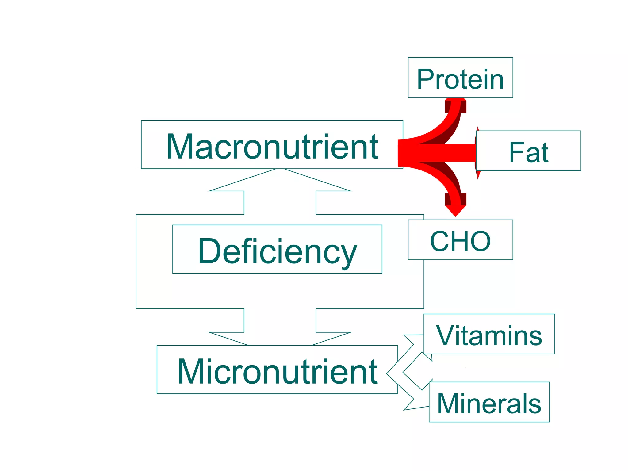 Basic components of food | PPT