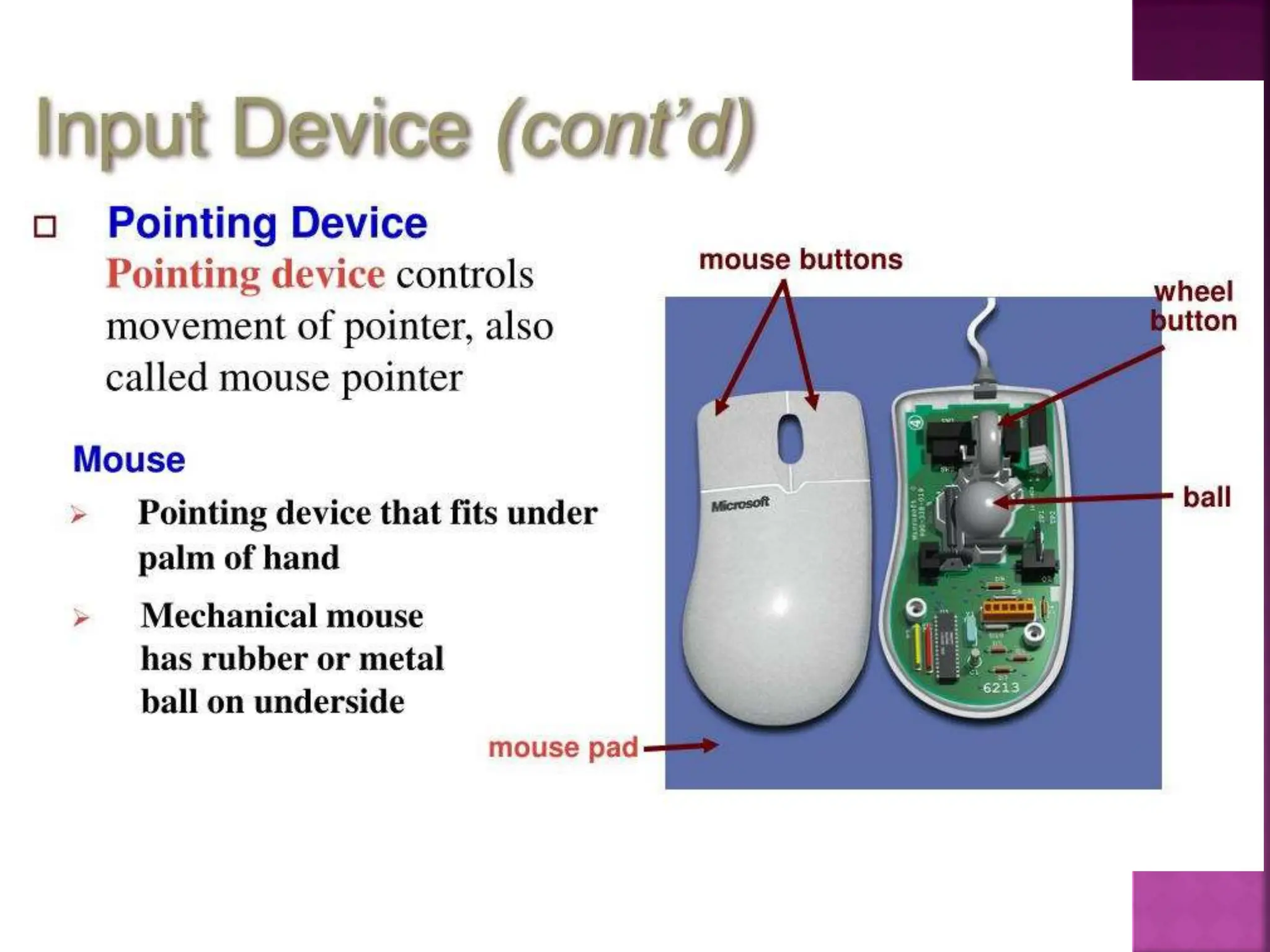 Basic Computer Hardware.pptx