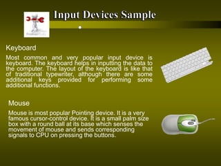Basic Computer Operation | PPTX