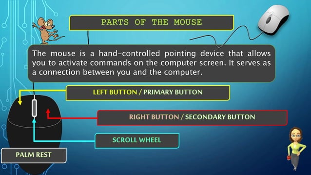 Basic Computer Operation.pptx | Data Storage and Warehousing | Computing