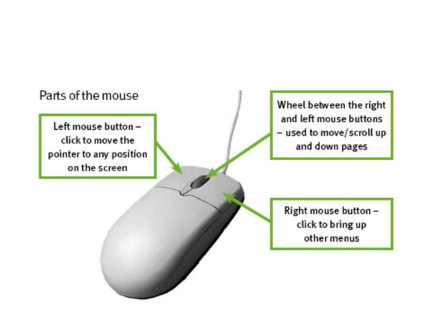 Basic Computer Training | PPTX | Internet for Beginners | Internet
