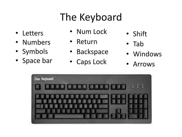 Basic computer skills | PPTX