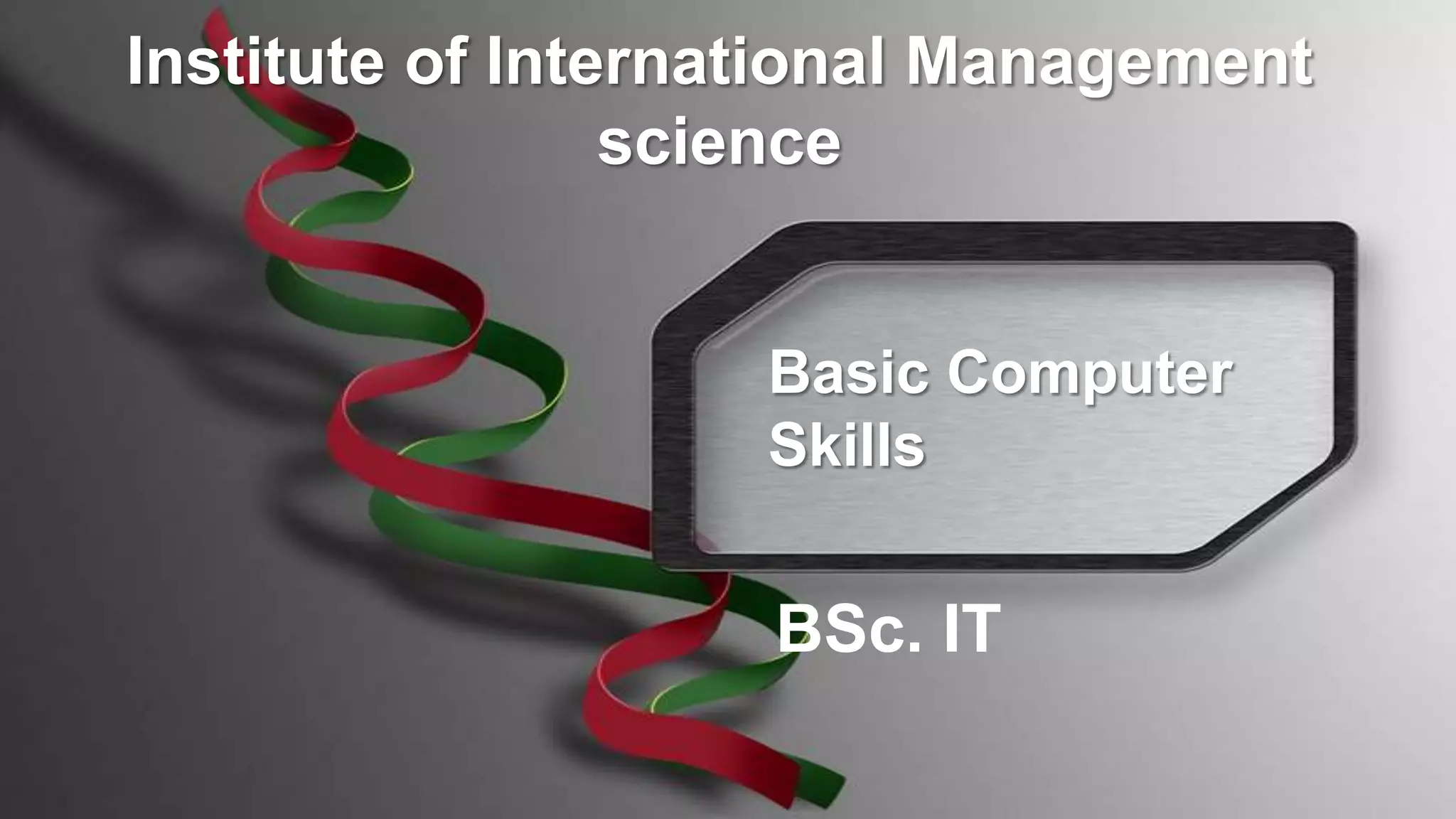 Basic computer skills of BSc IT | PPTX