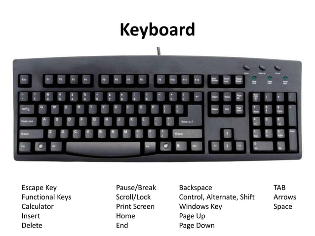 Basic Computer Skills.pptx