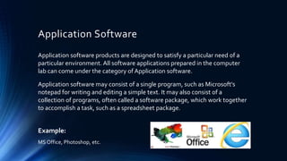 Basic computing: Lesson 2 - computer software | PPTX