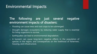 Basic Concept of Disaster and Disaster Risk.pptx