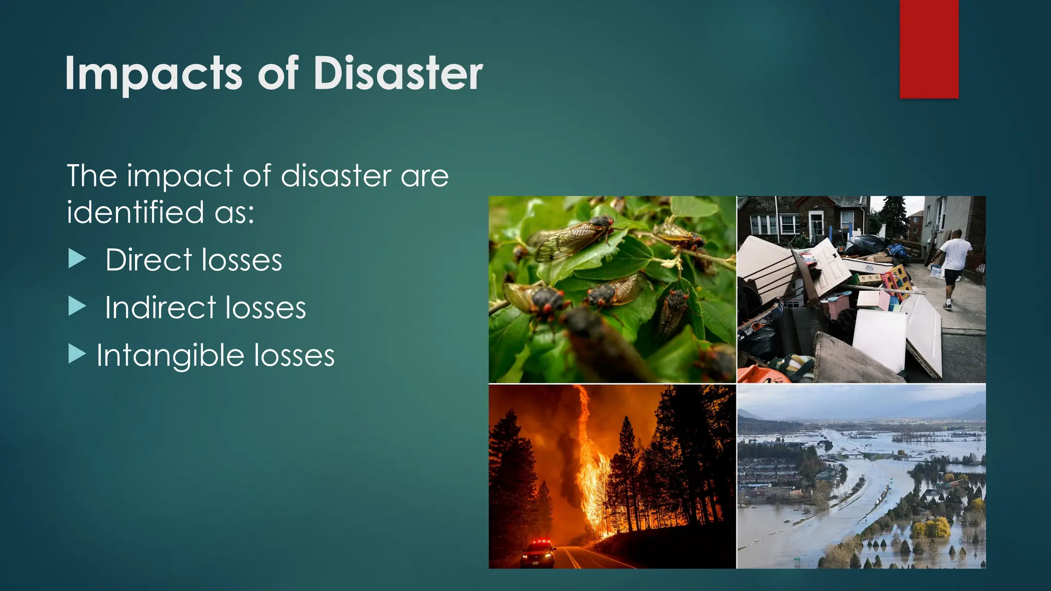 basic concept of disaster and disasterrisk.pptx