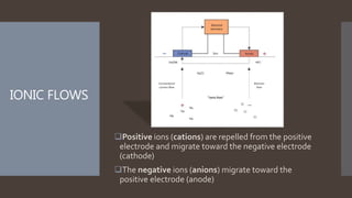 Basic concept of electrotherapy. | PPTX