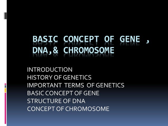 BASIC CONCEPT OF GENE , DNA,& CHROMOSOME ppt.pptx | Biological Sciences ...