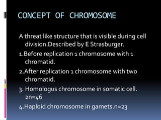 BASIC CONCEPT OF GENE , DNA,& CHROMOSOME ppt.pptx