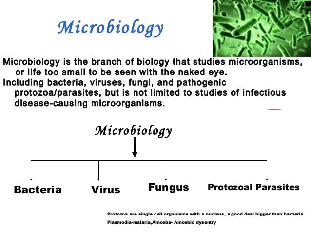 Basic concept of microbiology