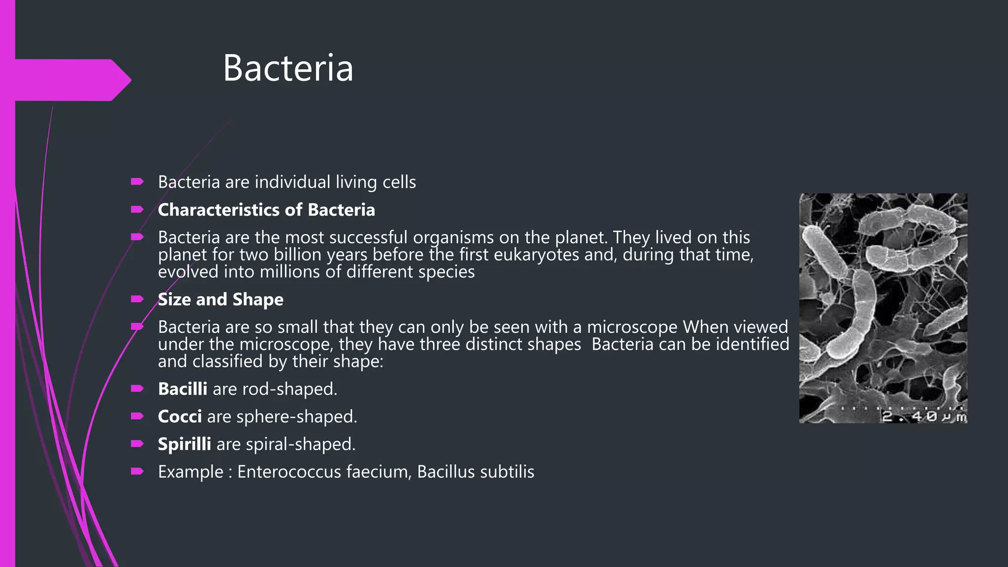 Basic concept of microbiology | PPTX