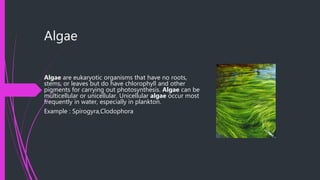 Basic concept of microbiology | PPTX