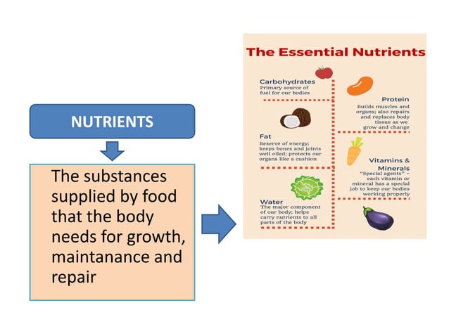 Basic concept of nutrition | PPT