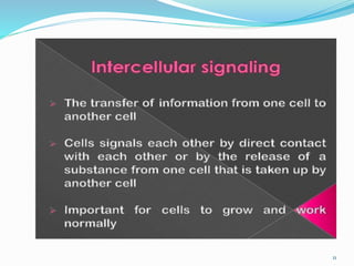 Basic concept of signal transduction | PPTX
