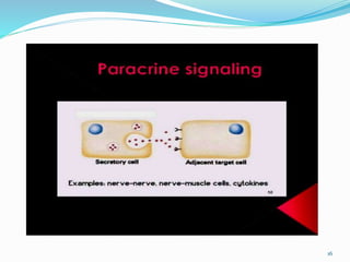 Basic concept of signal transduction | PPTX