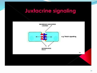 Basic concept of signal transduction | PPTX