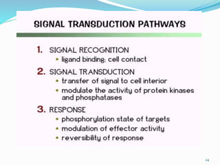 Basic concept of signal transduction | PPTX