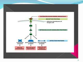 Basic concept of signal transduction | PPTX