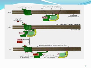Basic concept of signal transduction | PPTX