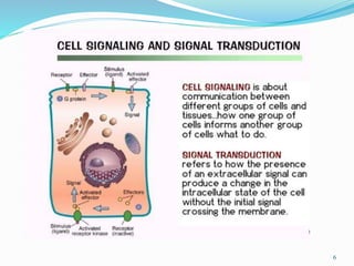 Basic concept of signal transduction | PPTX
