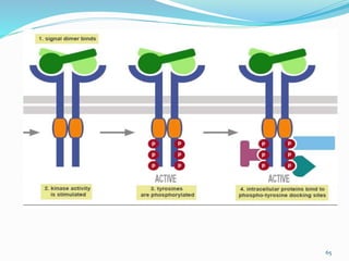 Basic concept of signal transduction | PPTX
