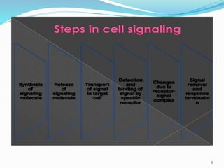 Basic concept of signal transduction | PPTX