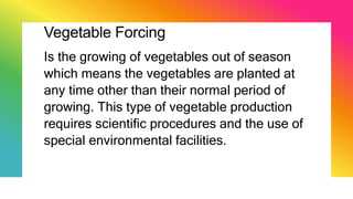 Horticulture Basic Concept of Vegetable. ppt | PPTX