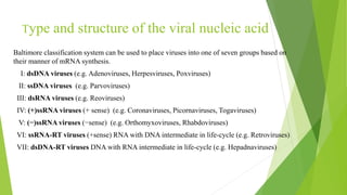 Basic concept of virus for nursing and vaccine preventable viruses ...