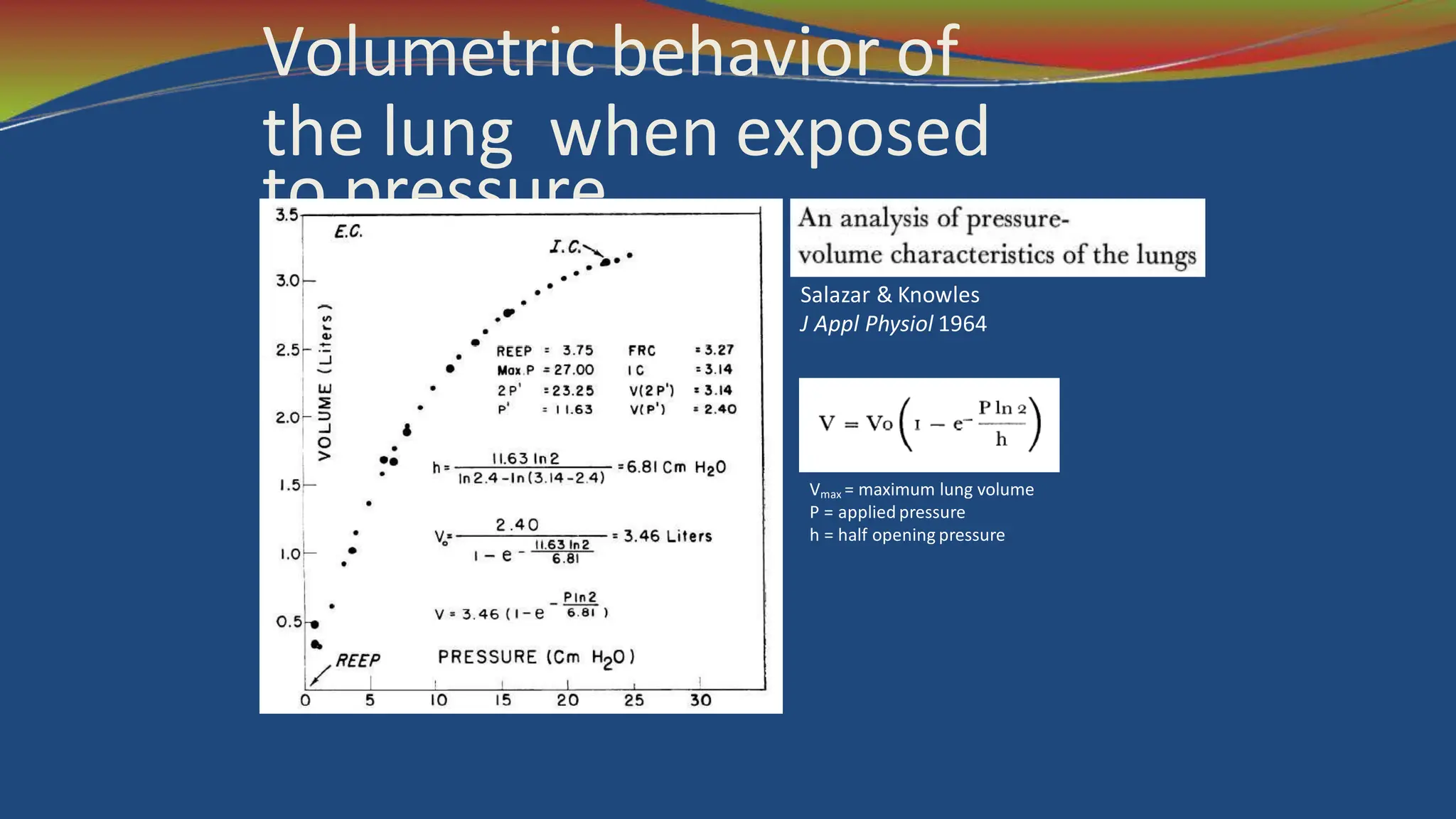 Basic Concepts -Neo Ventilation.pptx | Lung and Respiratory Health ...