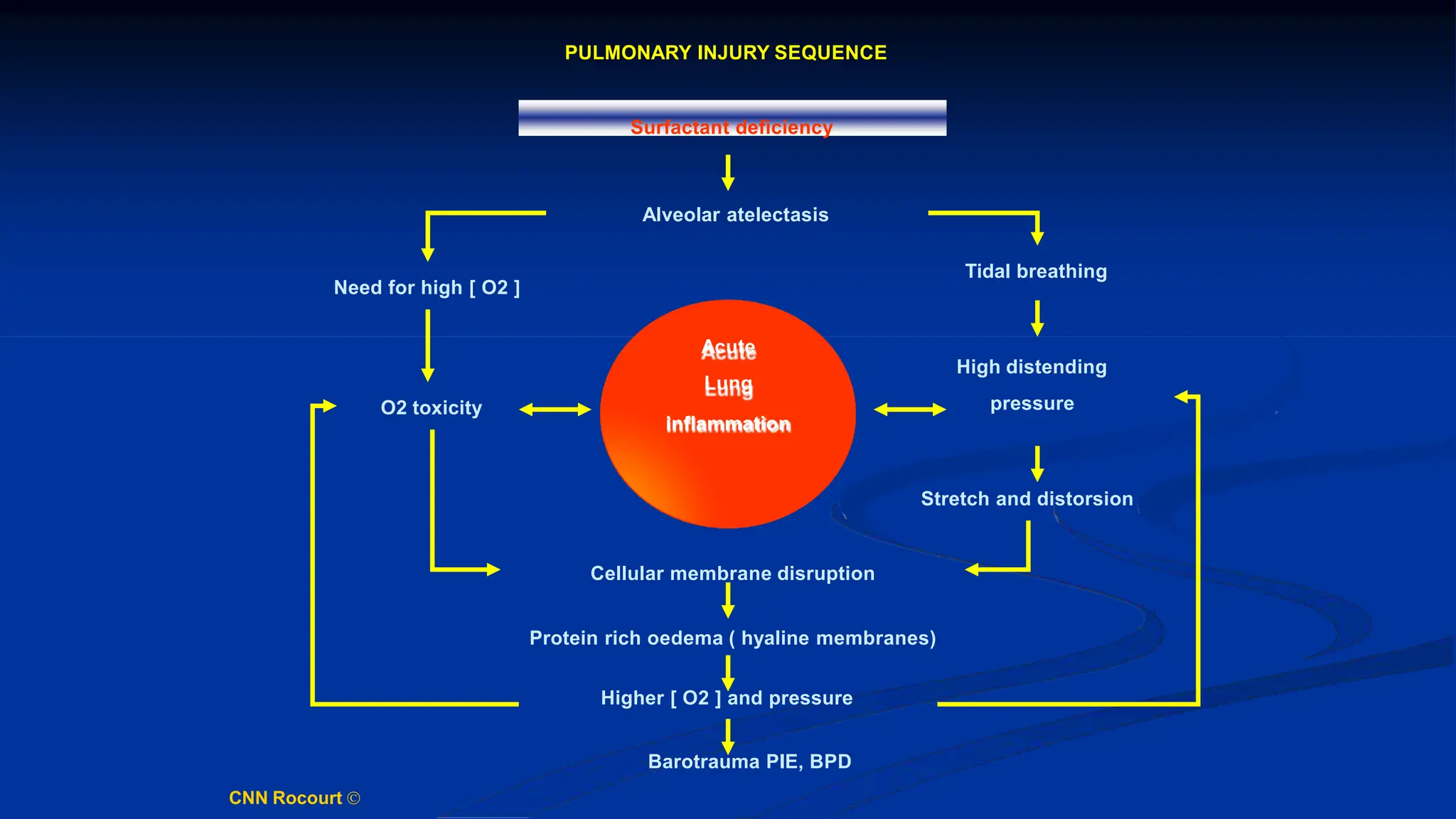 Basic Concepts -Neo Ventilation.pptx | Lung and Respiratory Health ...