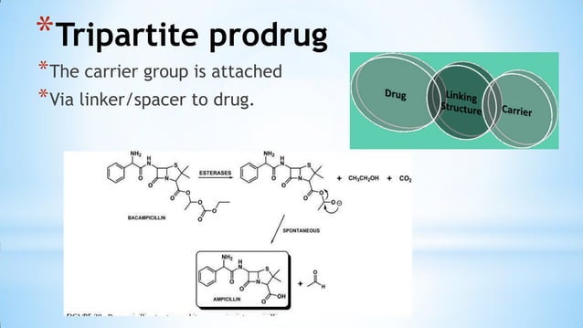 Basic concepts and application of prodrug design | PPT