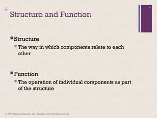 Basic Concepts and Computer Evolution.pptx