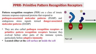 Basic concepts and principles of host pathogen interaction.pptx