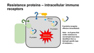 Basic concepts and principles of host pathogen interaction.pptx