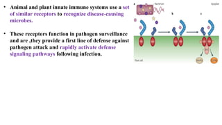 Basic concepts and principles of host pathogen interaction.pptx