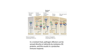 Basic concepts and principles of host pathogen interaction.pptx